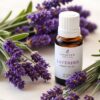 Lavanda: Propriedades Medicinais e Como Usar - Preparação Final